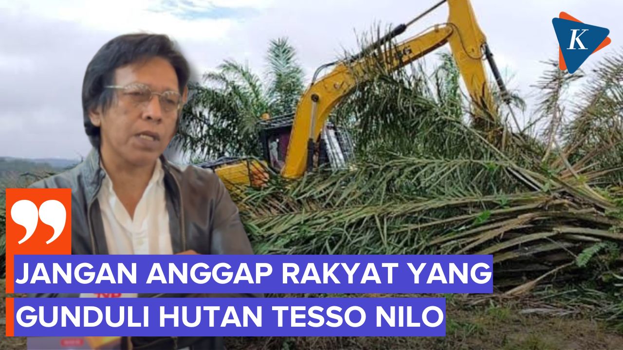 Soal Kerusakan Taman Nasional Tesso Nilo, Adian: Jangan Anggap Rakyat ...